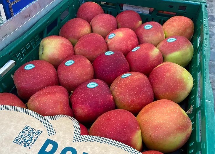 Jonagold || - Simonet Groenten en Fruit